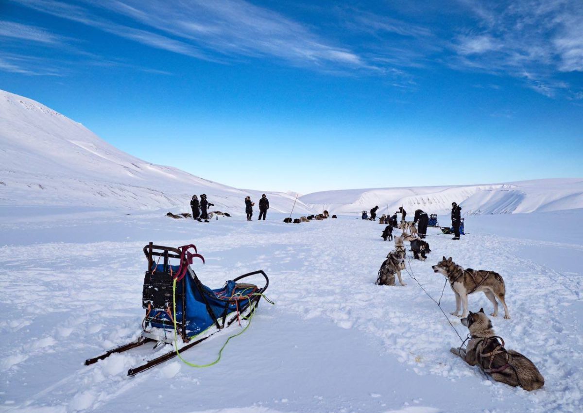 Your Complete Guide to Svalbard – A Tiny Traveler